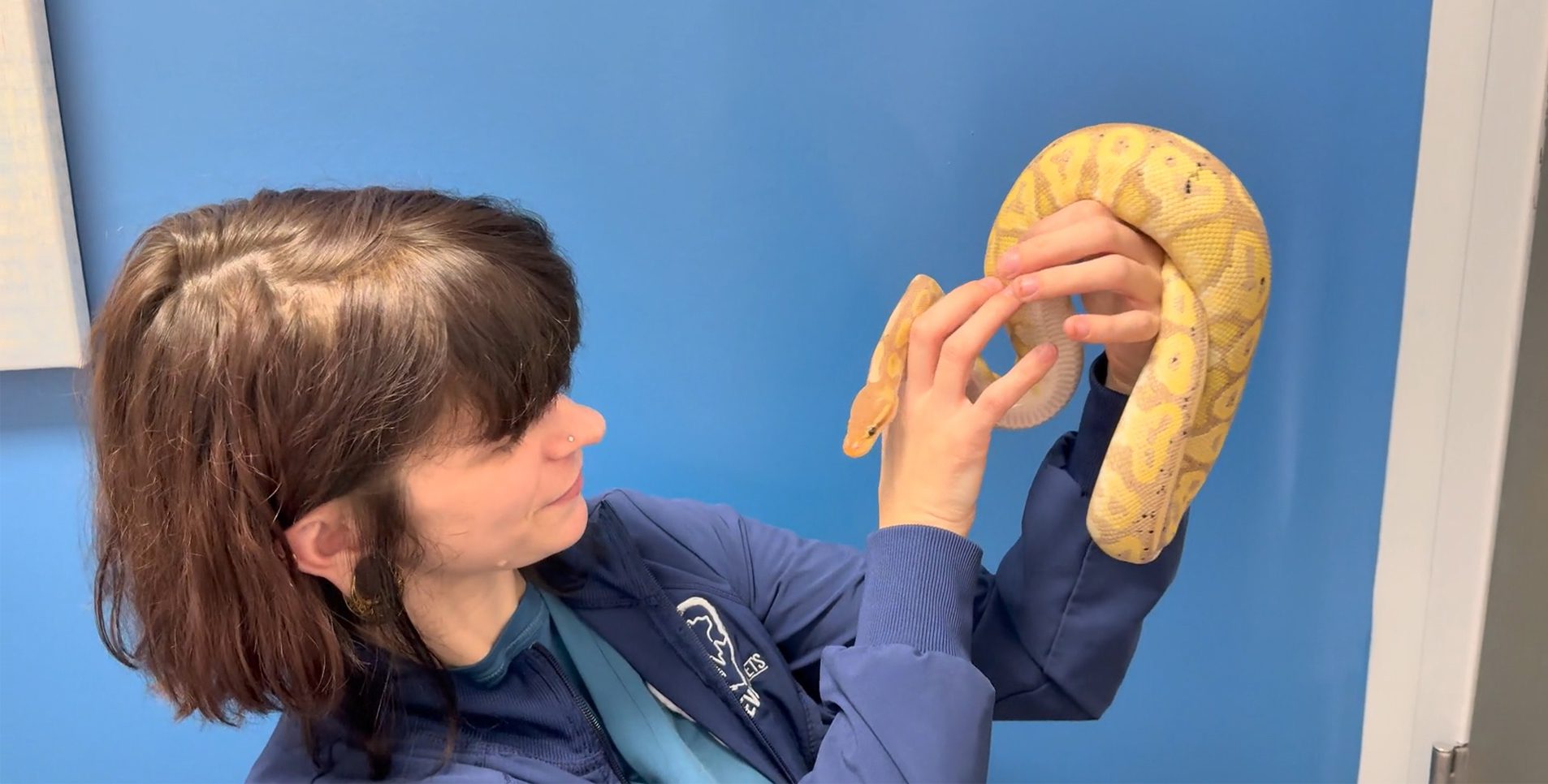 Exotic Appointment Forever Vets